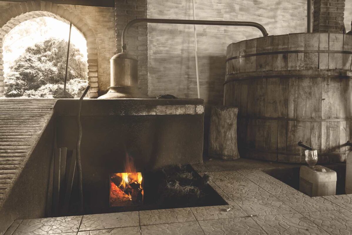 SACRED SPIRITS: A historical guide to drinking Tequila and Mezcal ...