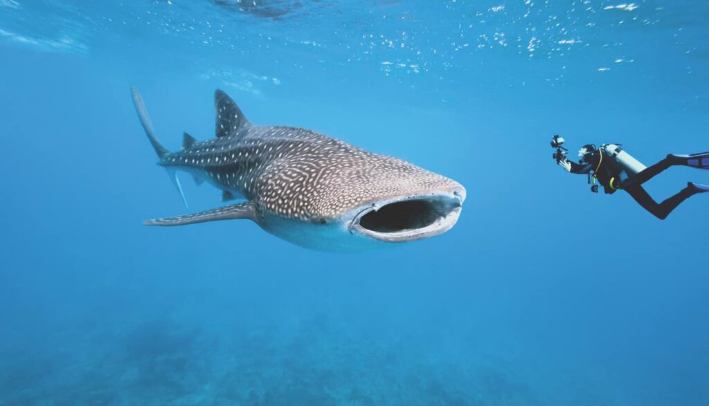 Slider with alias footer-ads not found. There is nothing to show here!