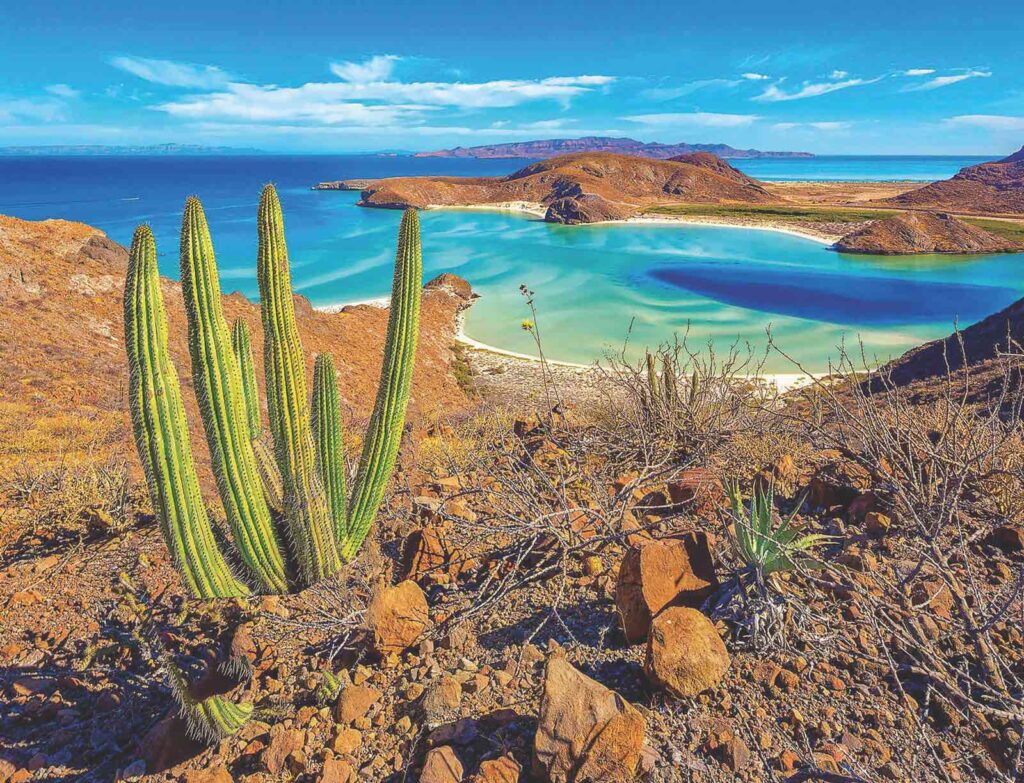 Back To Baja Beginnings (Basics) - Destino Magazine