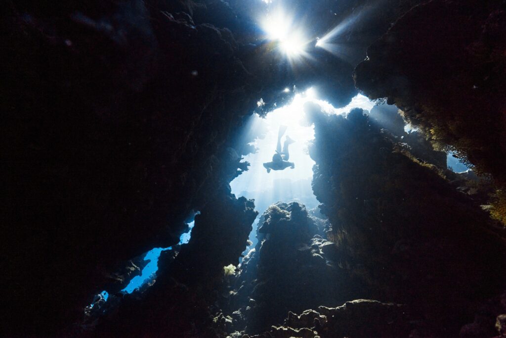 Exploring the Depths: The Best Scuba Diving Spots in Baja California ...