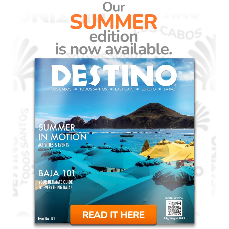 Surfing in Los Cabos: Best Surf Spots, Seasons, and Waves Guide ...